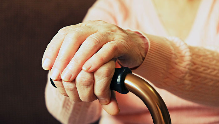 LOWLY BODIES - Essene Press